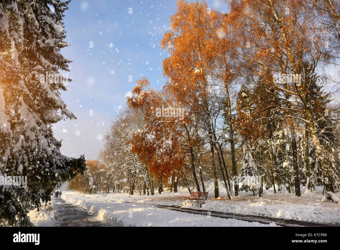 Snow in November. The road in the park. Snow sunny day Stock Photo - Alamy