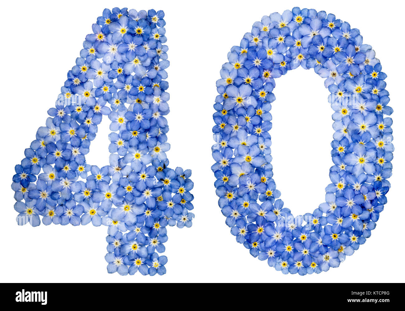 Arabic numeral 40, forty, from blue forget-me-not flowers, isolated on ...