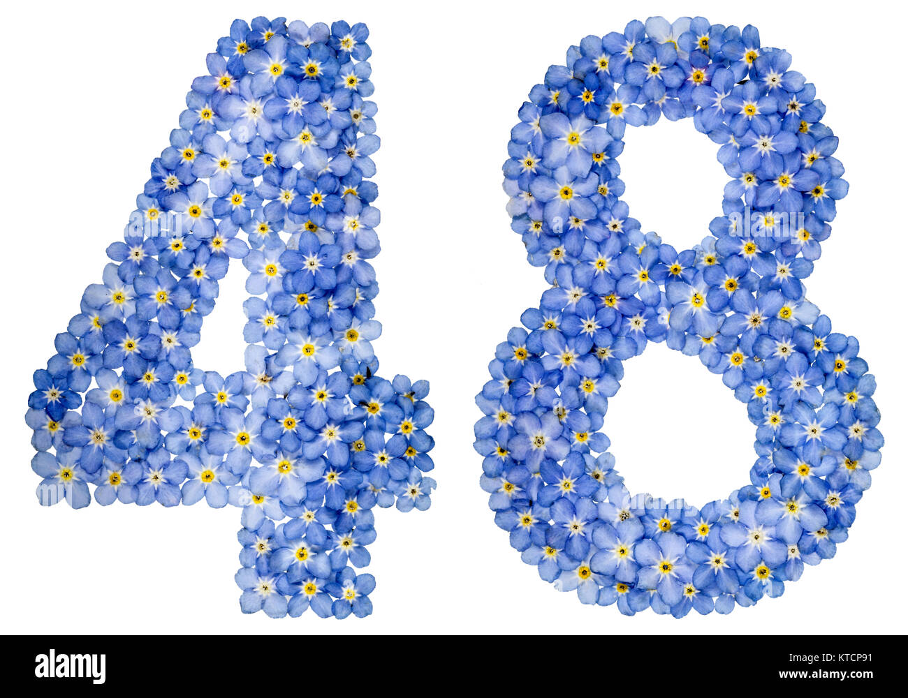 Arabic numeral 48, forty eight, from blue forget-me-not flowers ...
