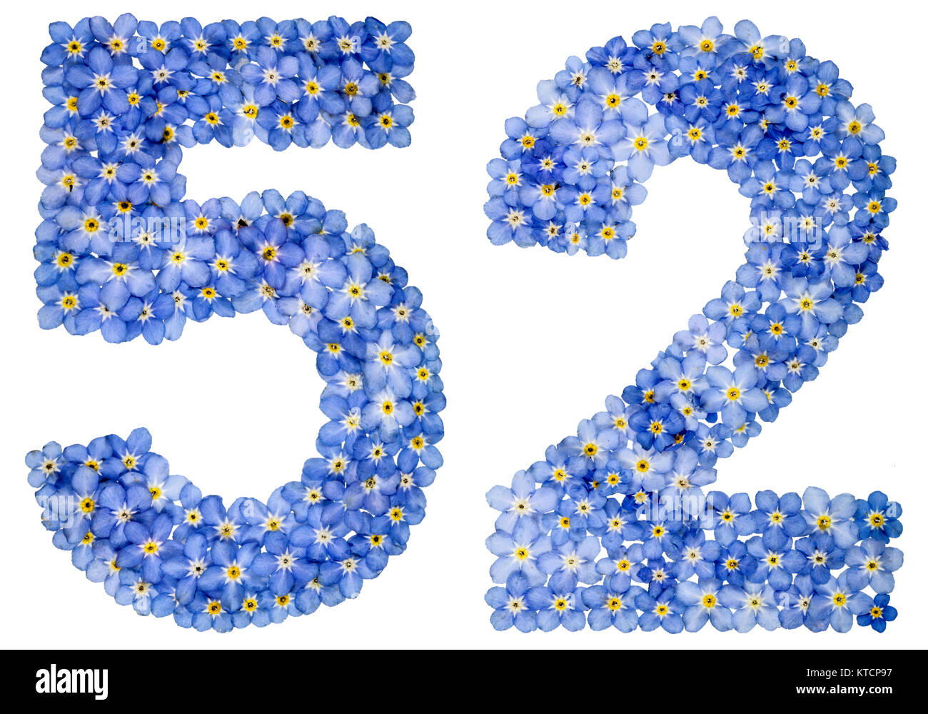 Arabic numeral 52, fifty two, from blue forget-me-not flowers, isolated ...