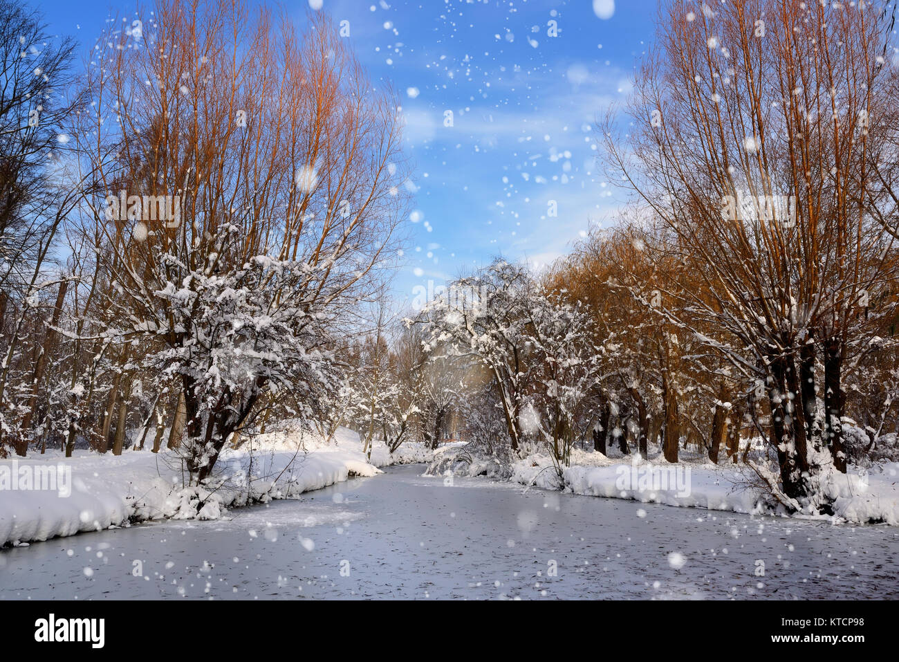 Beautiful winter landscape with snow covered trees Stock Photo - Alamy