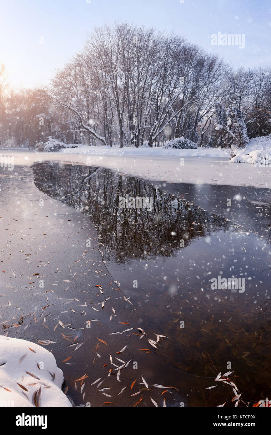 Winter landscape in frosty day Stock Photo - Alamy