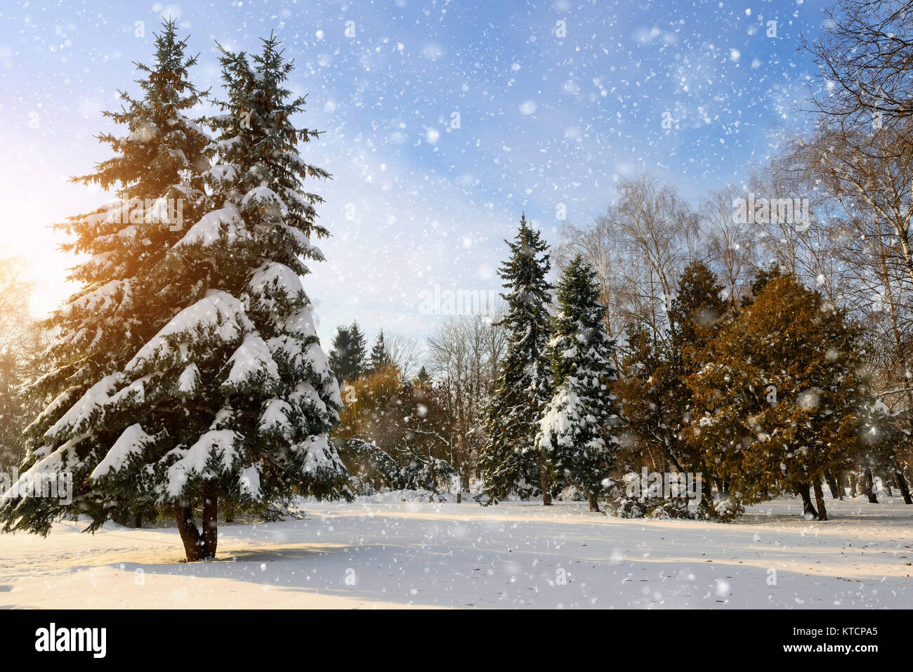 Beautiful winter landscape with snow covered trees Stock Photo - Alamy