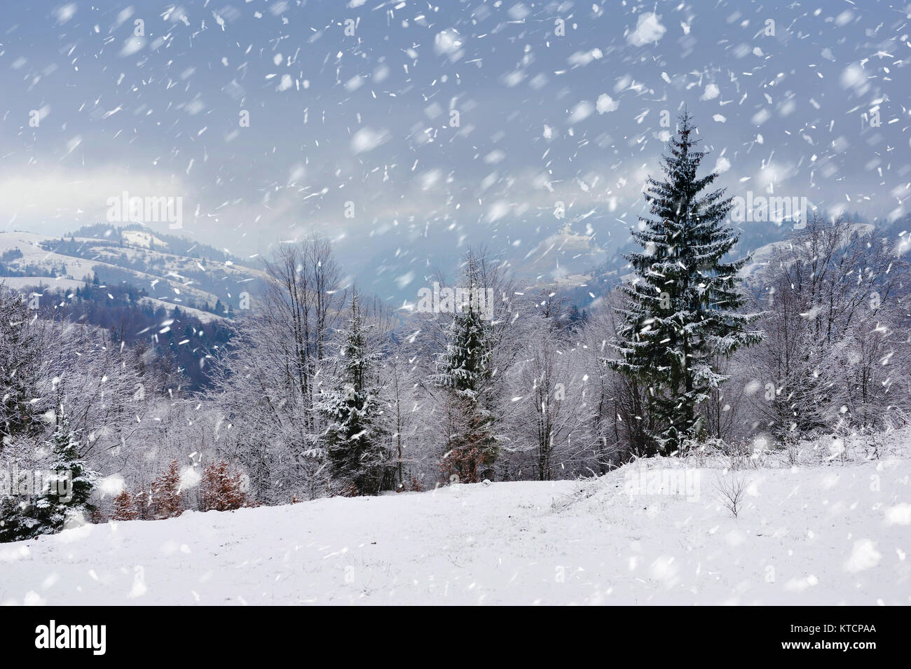 Beautiful winter landscape with snow covered trees Stock Photo - Alamy