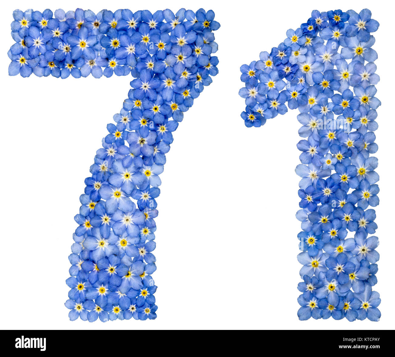 Arabic numeral 71, seventy one, from blue forget-me-not flowers ...