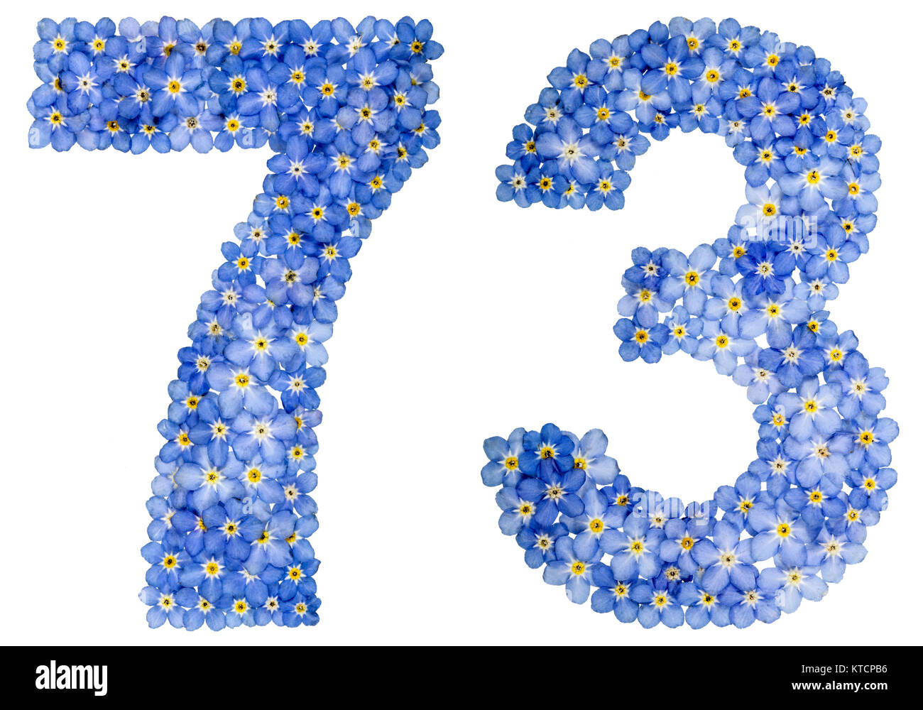 Arabic numeral 73, seventy three, from blue forget-me-not flowers ...