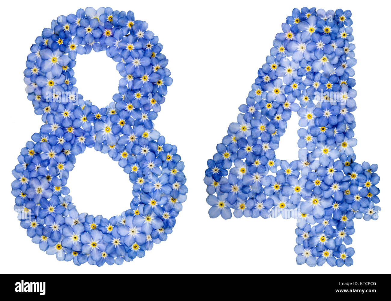 Arabic numeral 84, eighty four, from blue forget-me-not flowers ...