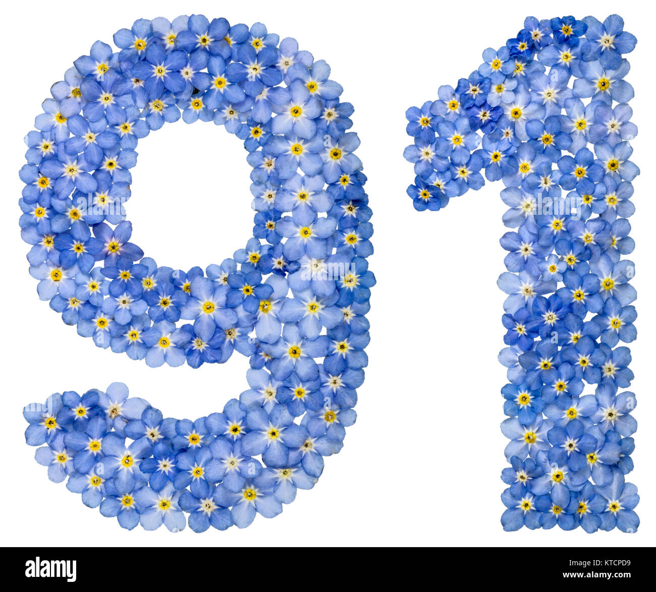 Arabic numeral 91, ninety one, from blue forget-me-not flowers, isolated on white background ...