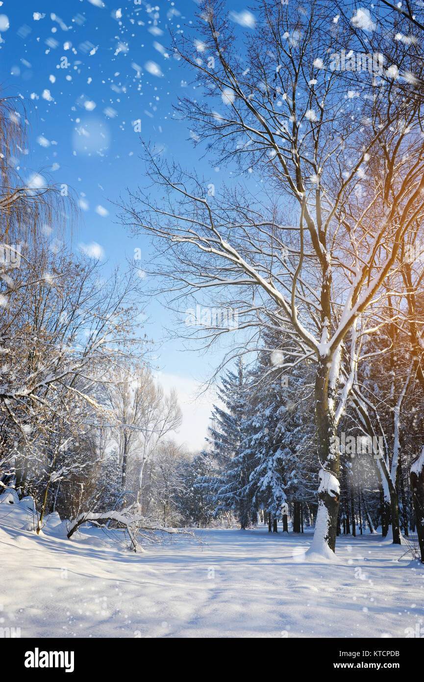 Beautiful winter landscape Stock Photo - Alamy