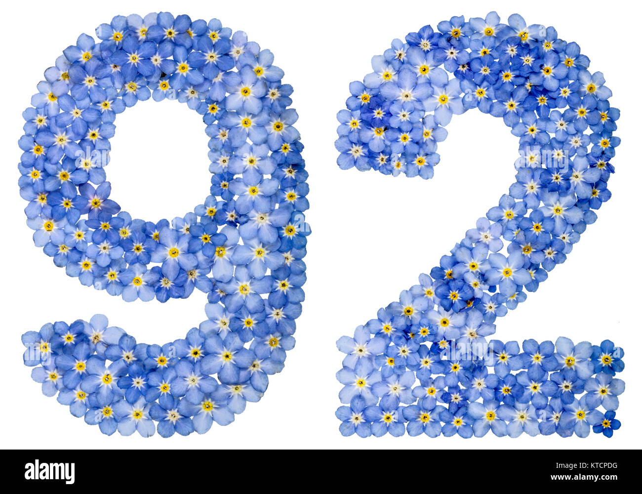 Arabic numeral 92, ninety two, from blue forget-me-not flowers ...