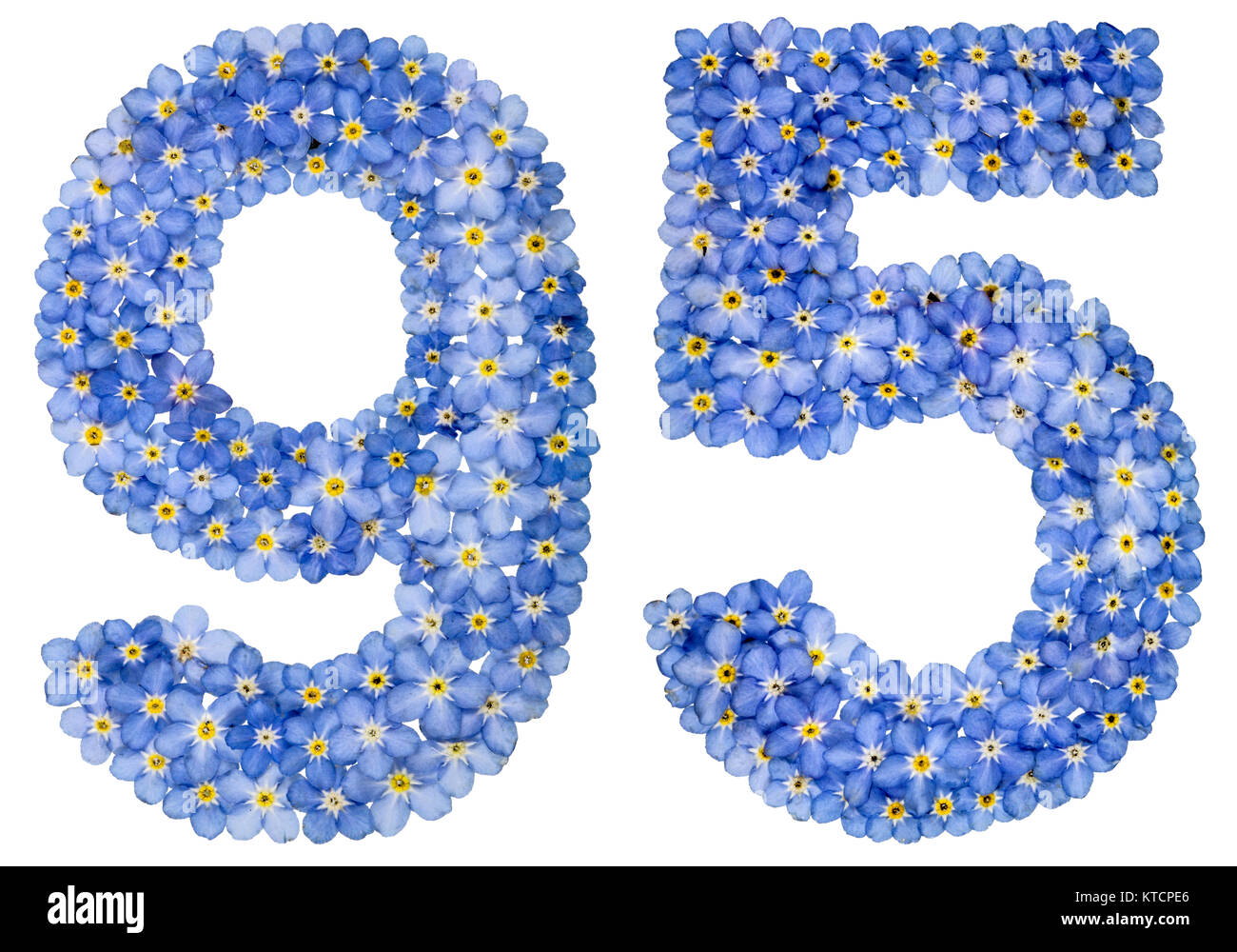 Arabic numeral 95, ninety five, from blue forget-me-not flowers ...