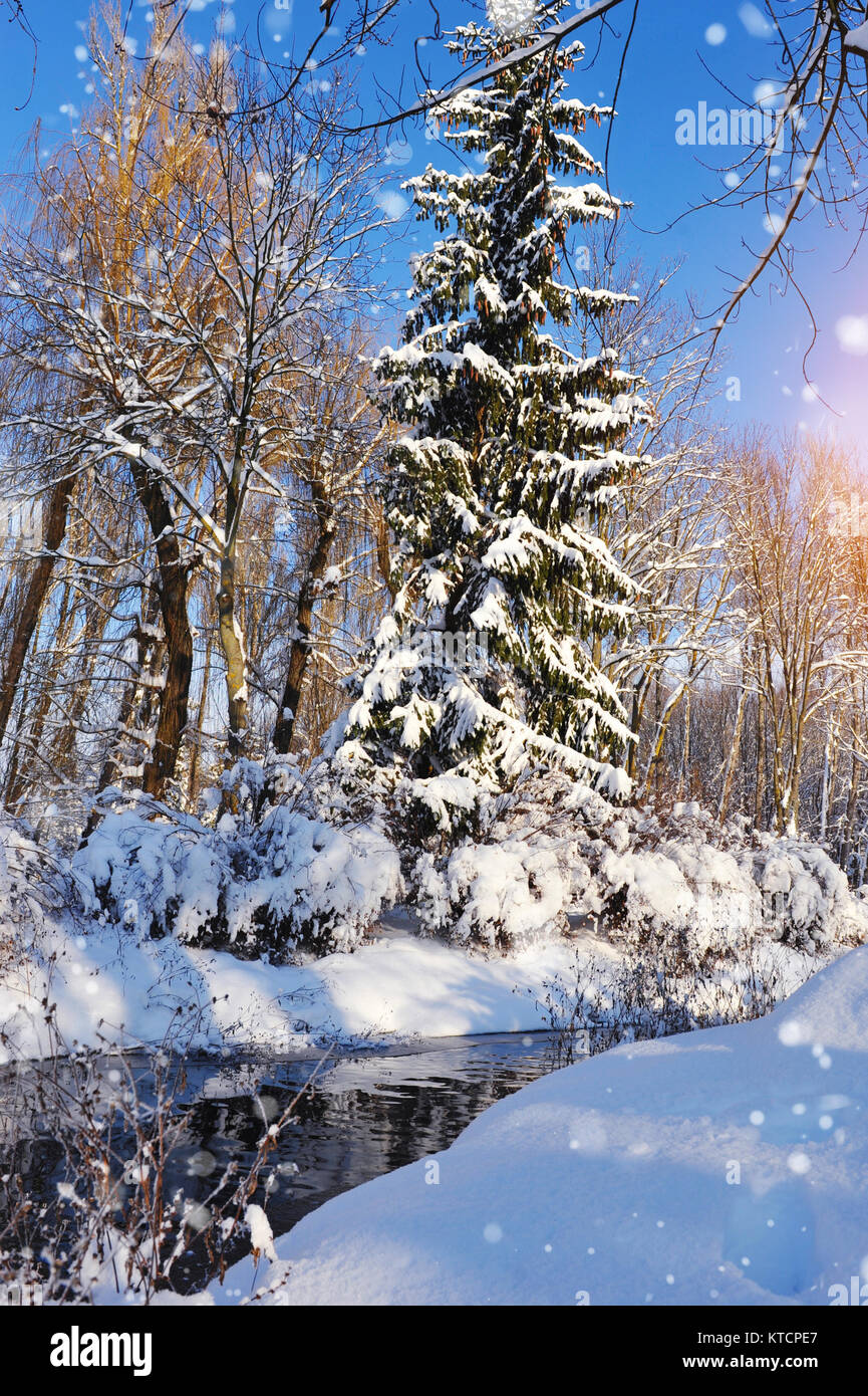 Beautiful winter landscape with snow covered trees Stock Photo - Alamy