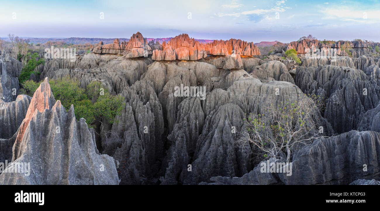 Rugged landscape of Karst limestone at the Tsingy de Bemaraha National ...