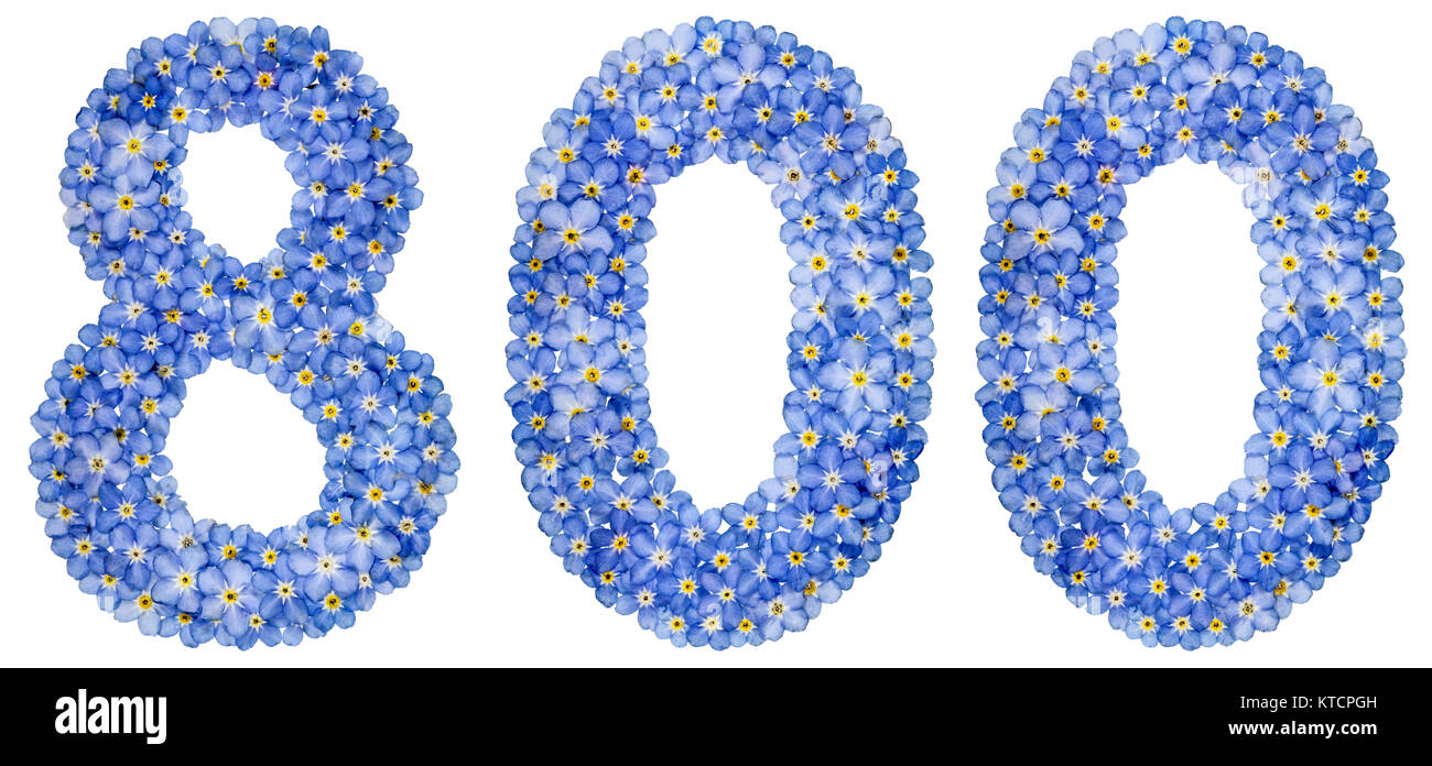 Arabic numeral 800, eight hundred, from blue forget-me-not flowers ...