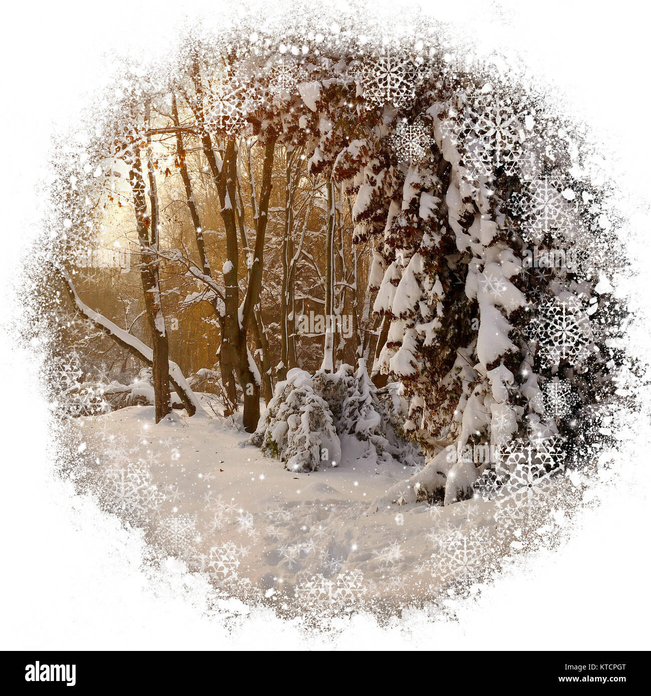Beautiful winter landscape in ornamental circle with snowflakes Stock ...