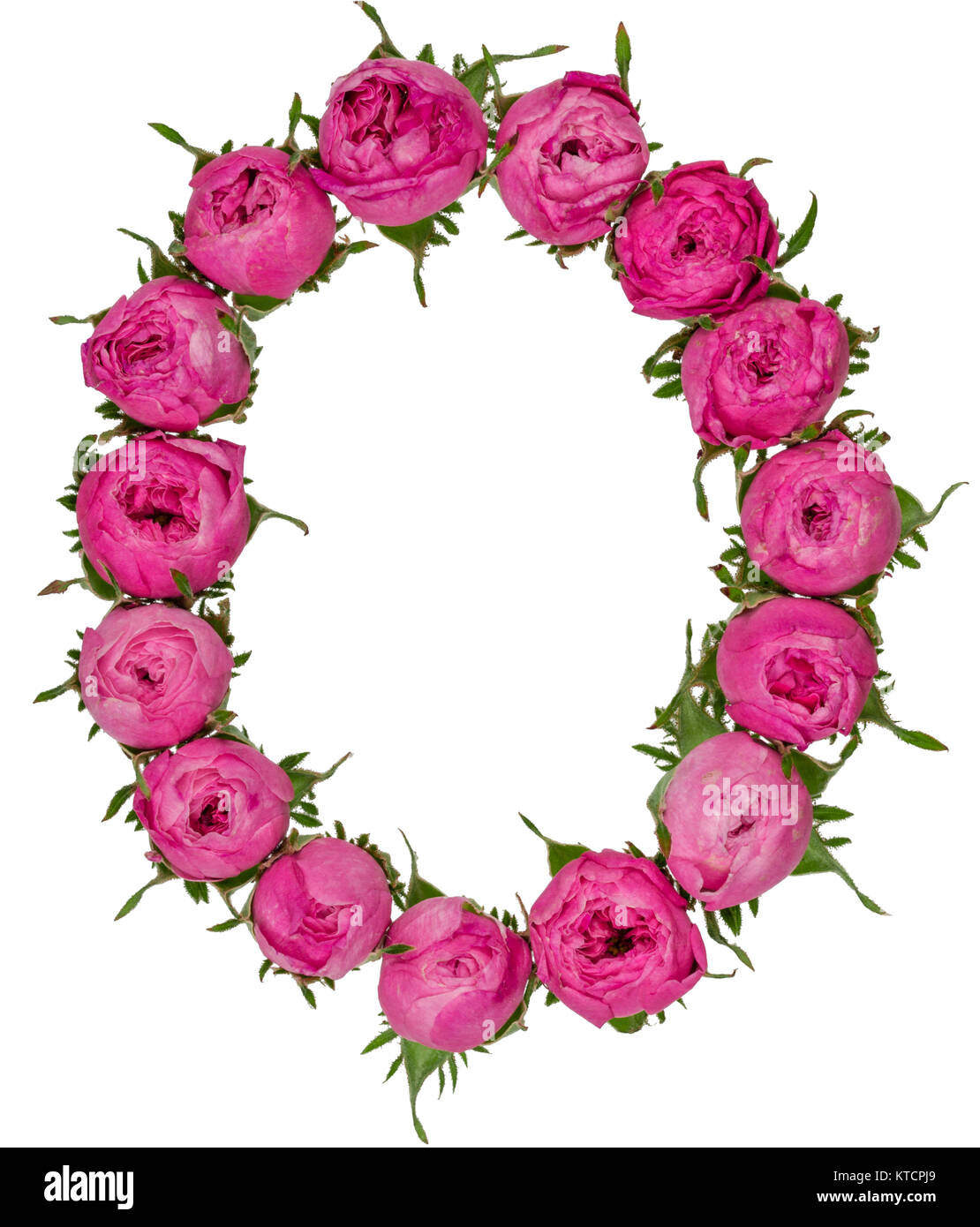 Letter O alphabet from flowers of roses, isolated on white background ...