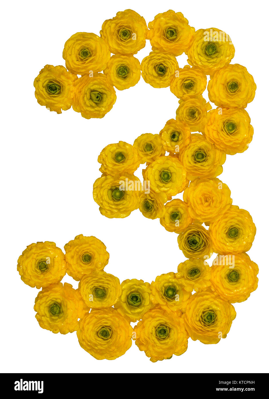 Arabic numeral 3, three, from yellow flowers of buttercup, isolated on ...