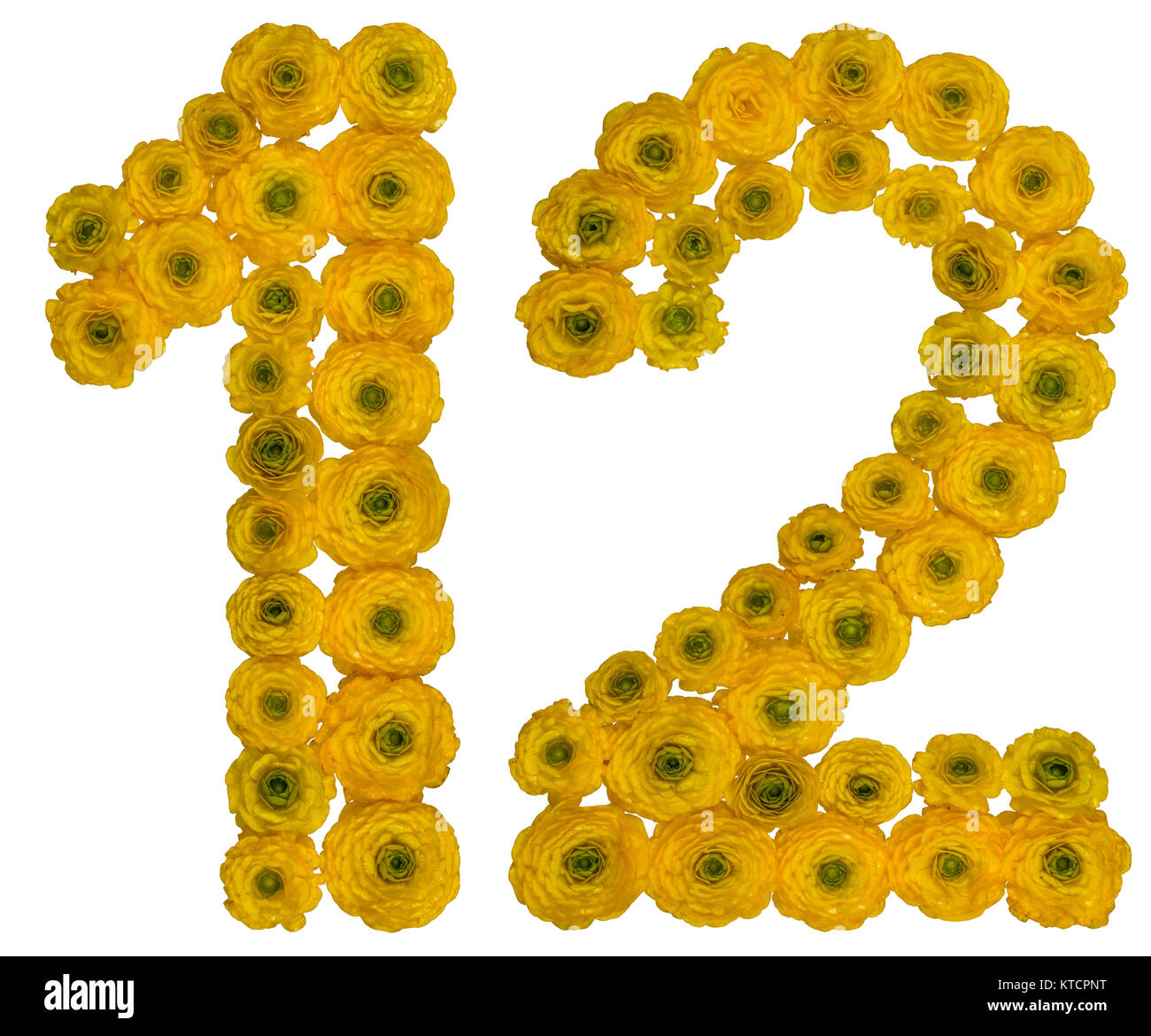 Arabic numeral 12, twelve, from yellow flowers of buttercup, isolated ...