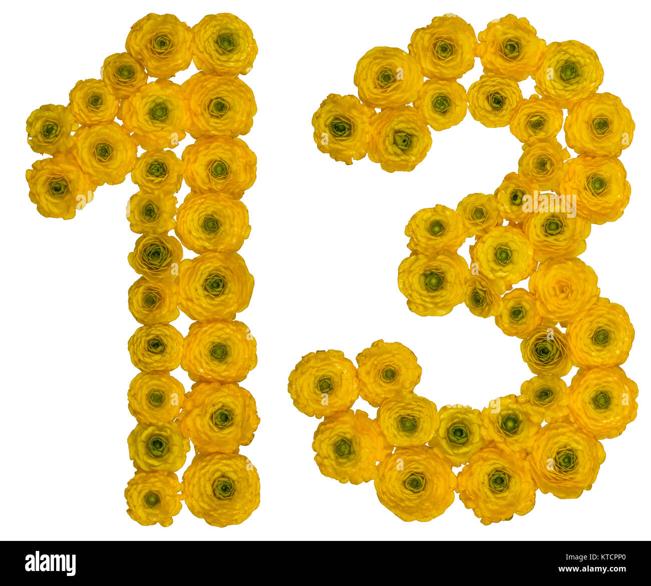 Arabic numeral 13, thirteen, from yellow flowers of buttercup, isolated ...