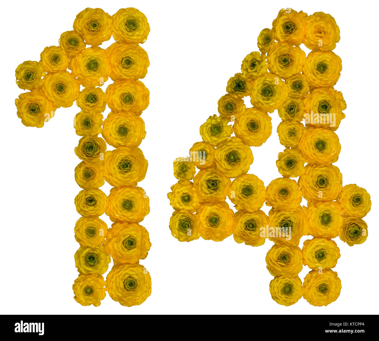 Arabic numeral 14, fourteen, from yellow flowers of buttercup, isolated ... Arabic numeral 14, fourteen, from yellow flowers of buttercup, isolated ...