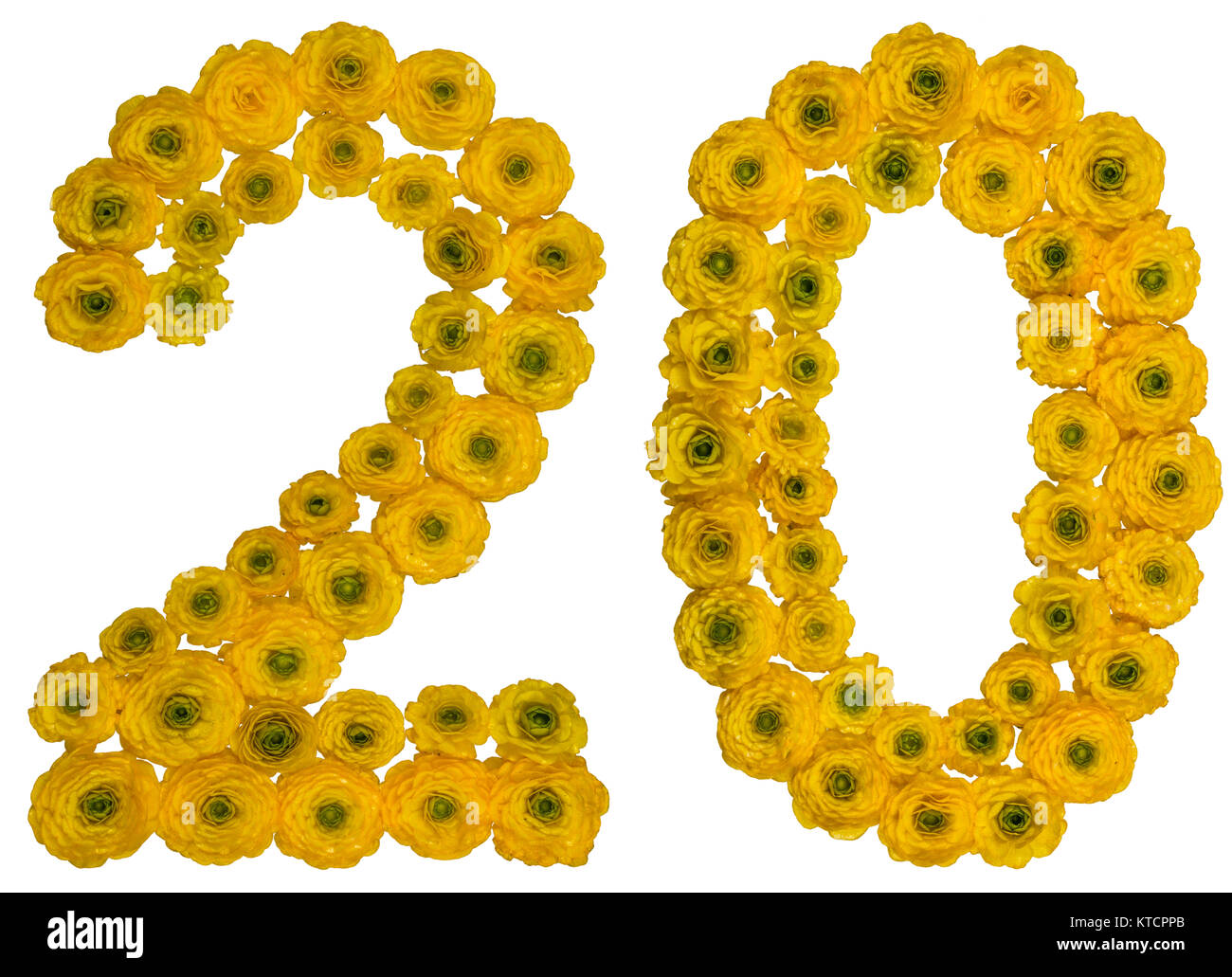 Arabic numeral 20, twenty, from yellow flowers of buttercup, isolated ... Arabic numeral 20, twenty, from yellow flowers of buttercup, isolated ...