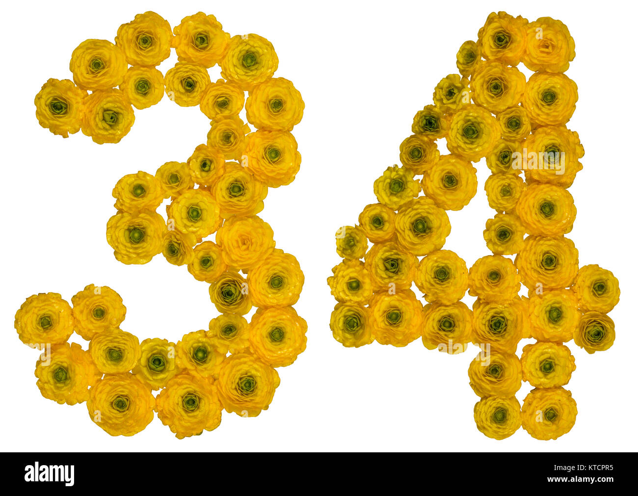 Arabic numeral 34, thirty four, from yellow flowers of buttercup ...