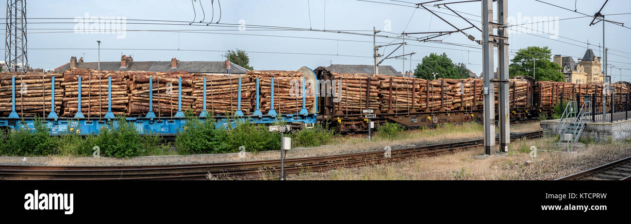 A long freight train loaded with timber on railroad tracks under a ...