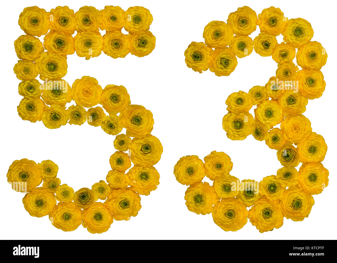Arabic numeral 53, fifty three, from yellow flowers of buttercup ...