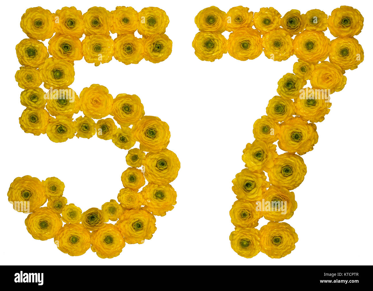 Arabic numeral 57, fifty seven, from yellow flowers of buttercup ...