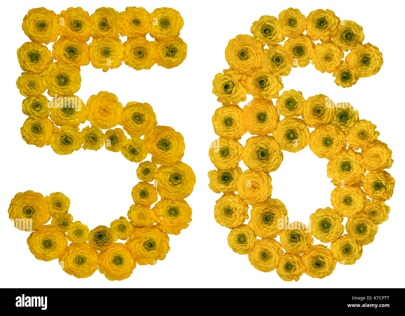 Arabic numeral 56, fifty six, from yellow flowers of buttercup ...