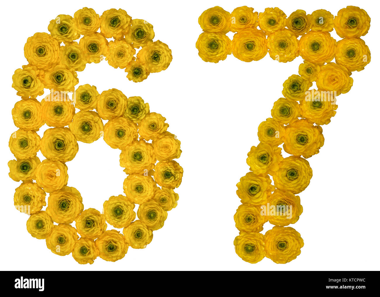 Arabic numeral 67, sixty seven, from yellow flowers of buttercup ...