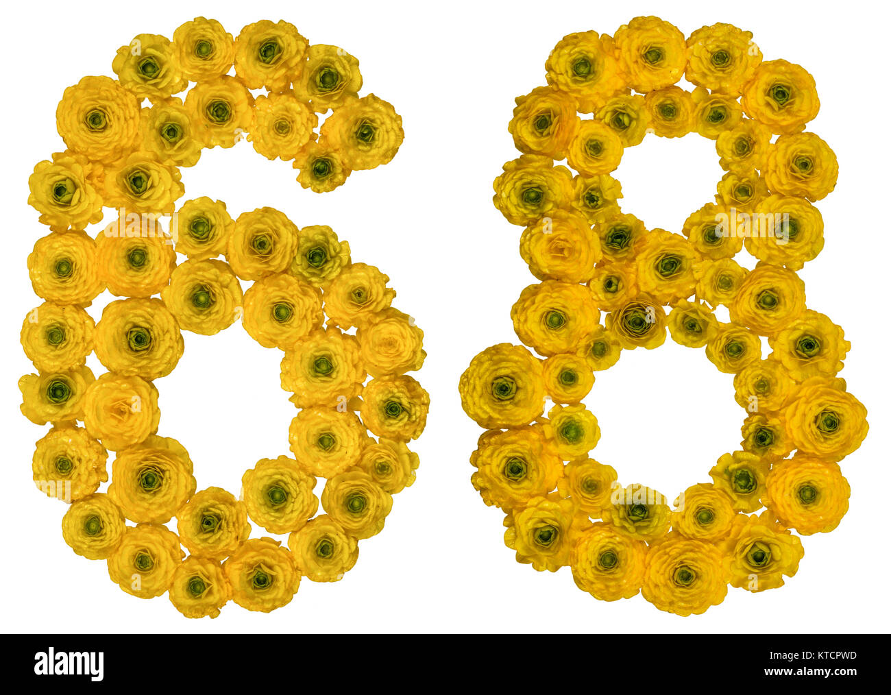 Arabic numeral 68, sixty eight, from yellow flowers of buttercup ...
