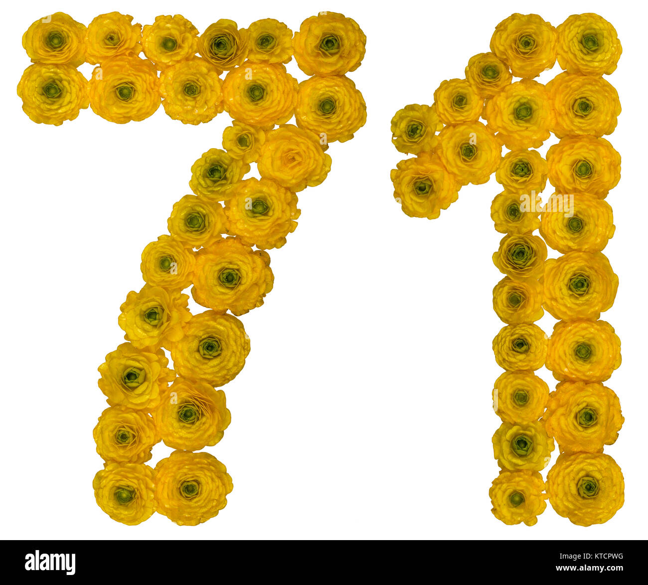 Arabic numeral 71, seventy one, from yellow flowers of buttercup ...