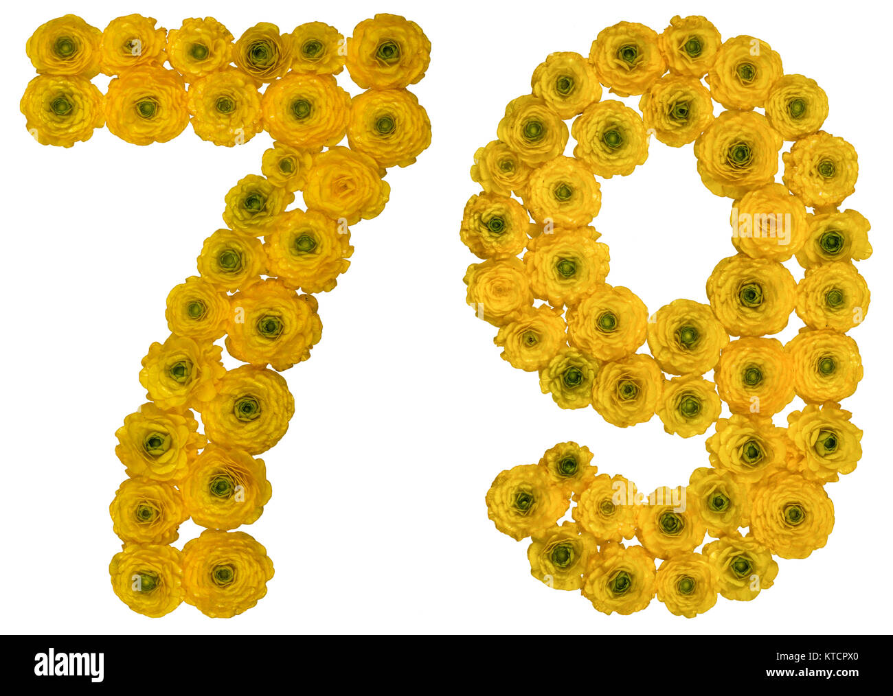 Arabic numeral 79, seventy nine, from yellow flowers of buttercup ...