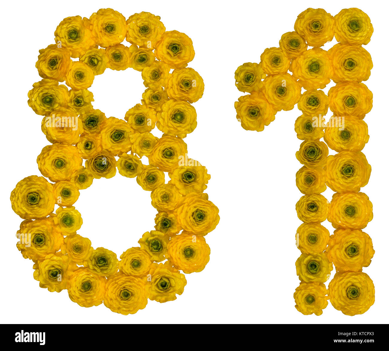 Arabic numeral 81, eighty one, from yellow flowers of buttercup ...