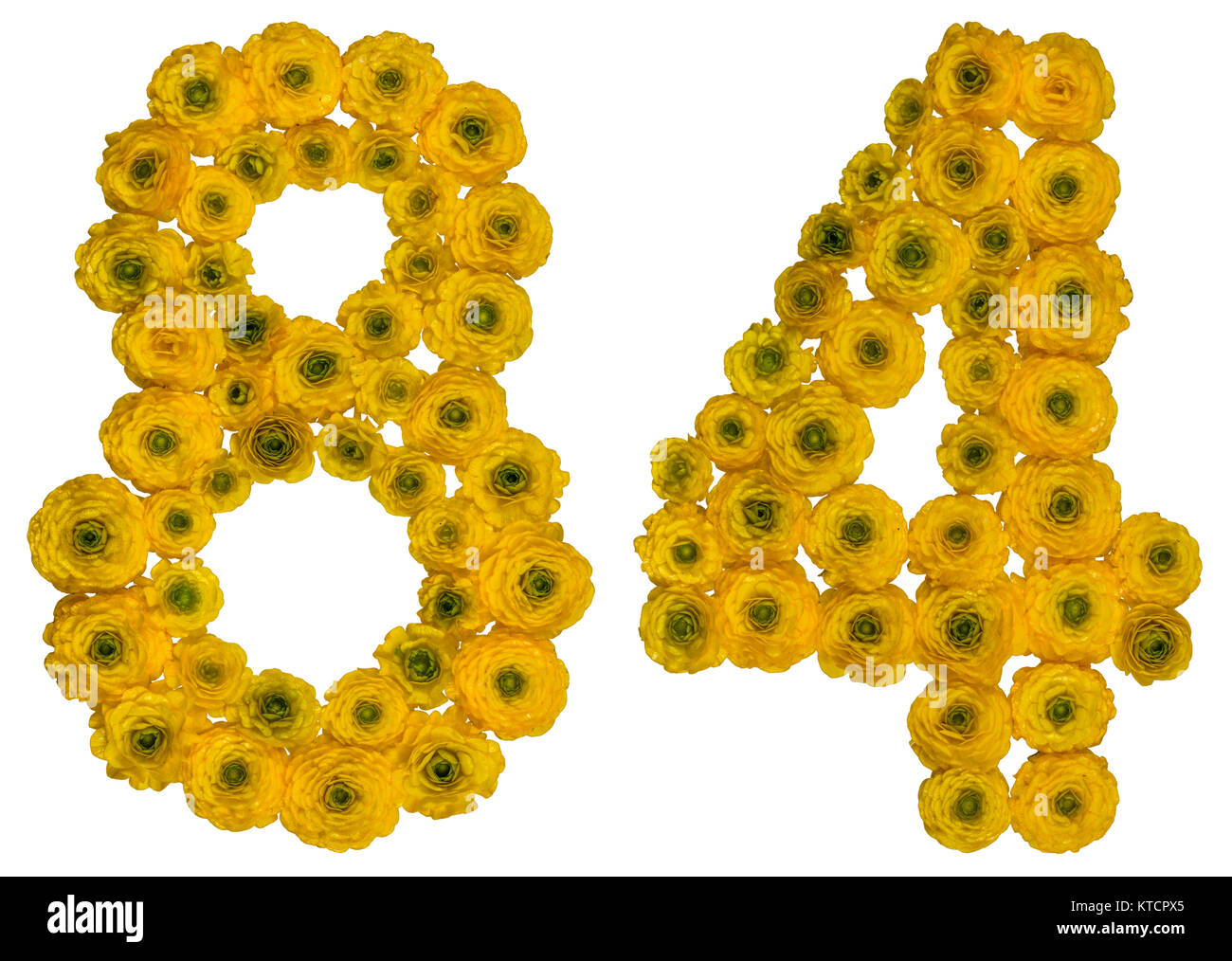 Arabic numeral 84, eighty four, from yellow flowers of buttercup ...