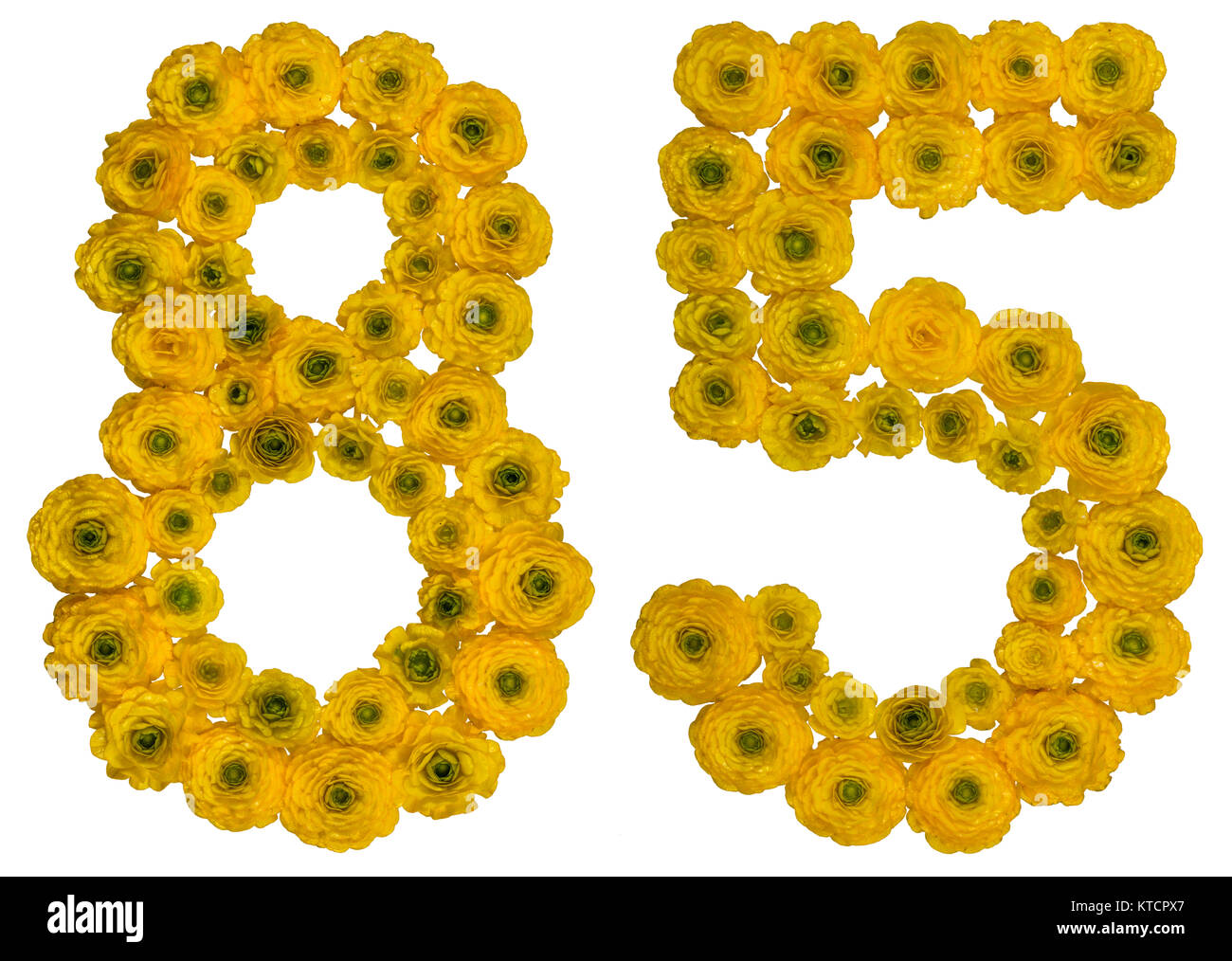 Arabic numeral 85, eighty five, from yellow flowers of buttercup ...