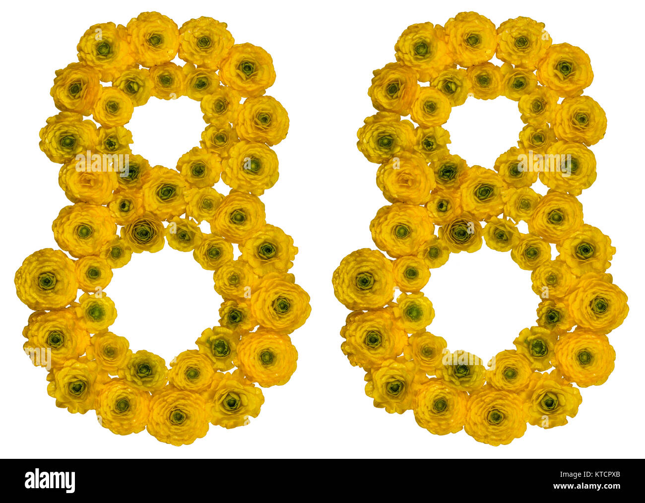Arabic numeral 88, eighty eight, from yellow flowers of buttercup ...