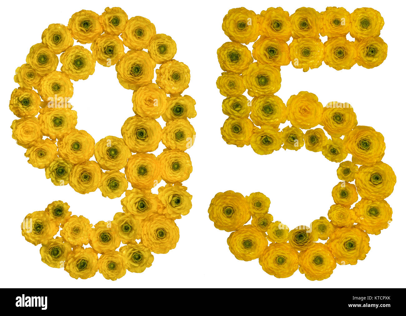 Arabic numeral 95, ninety five, from yellow flowers of buttercup ...