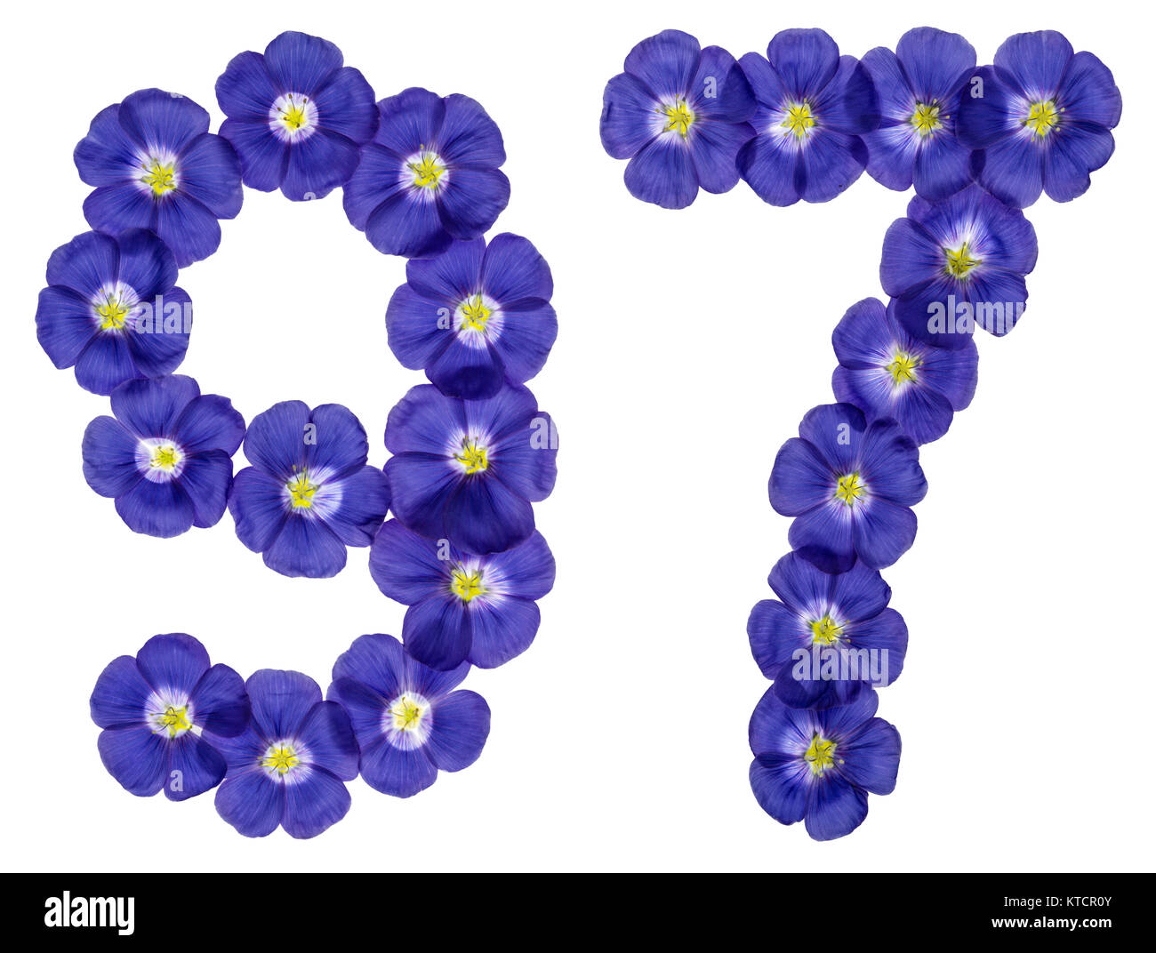 Arabic numeral 97, ninety seven, from blue flowers of flax, isolated on ...