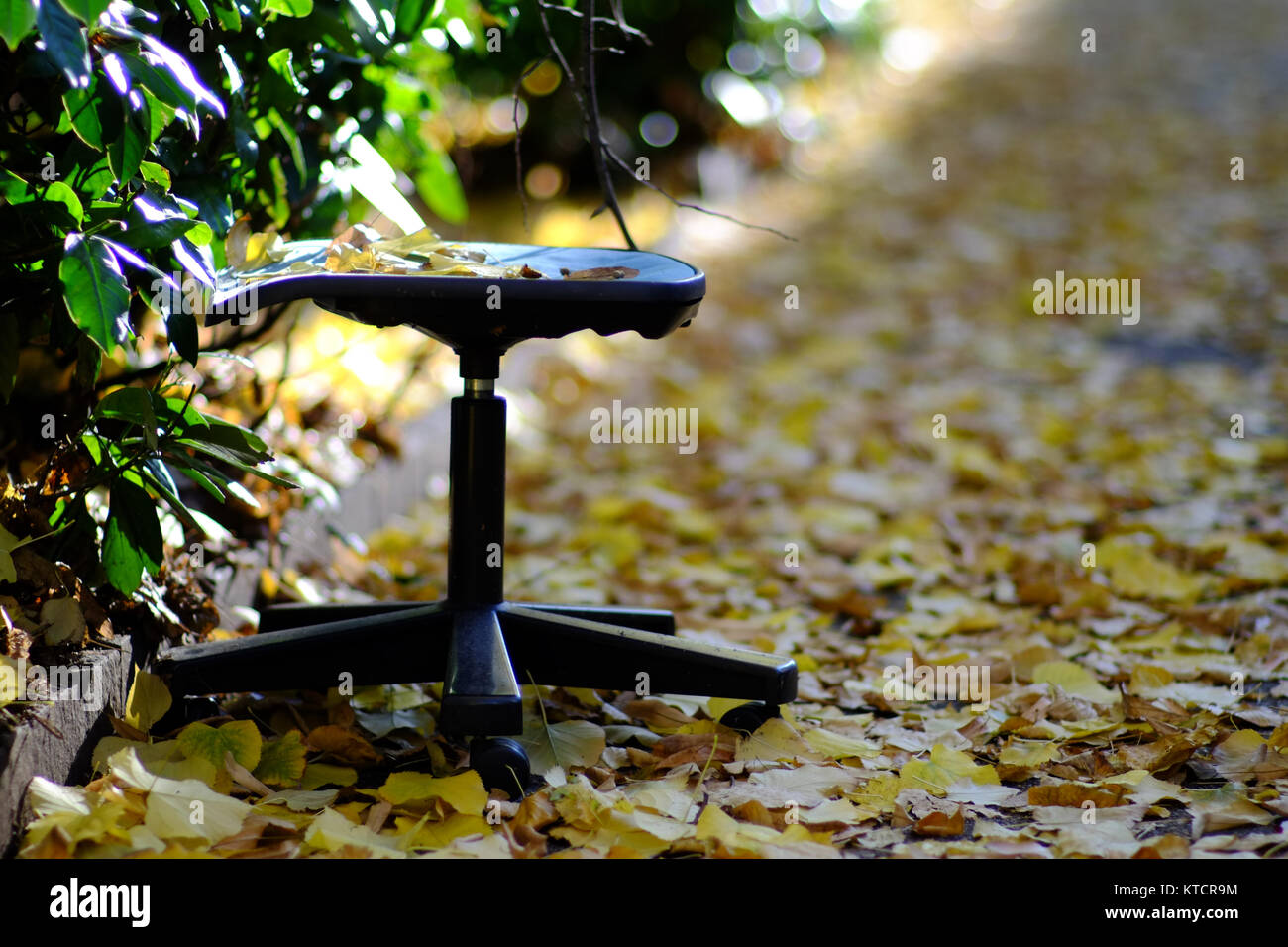 Broken Office Chair Funny