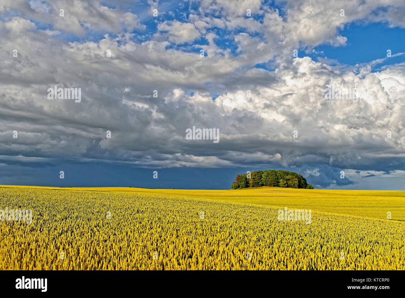 Swedish landscape hi-res stock photography and images - Alamy