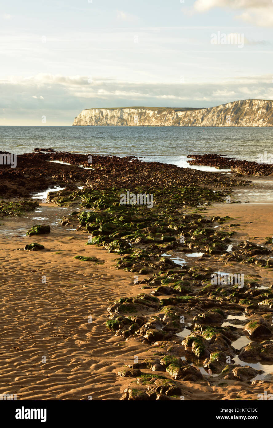 rocks and cliffs on the beach on the Isle of Wight coastline or ...