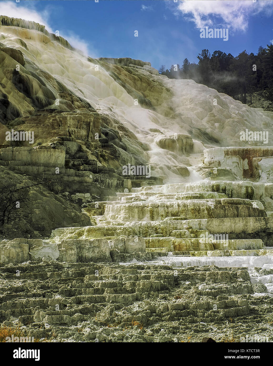 Mammoth hot springs geothermal area of the Yellowstone National Park ...