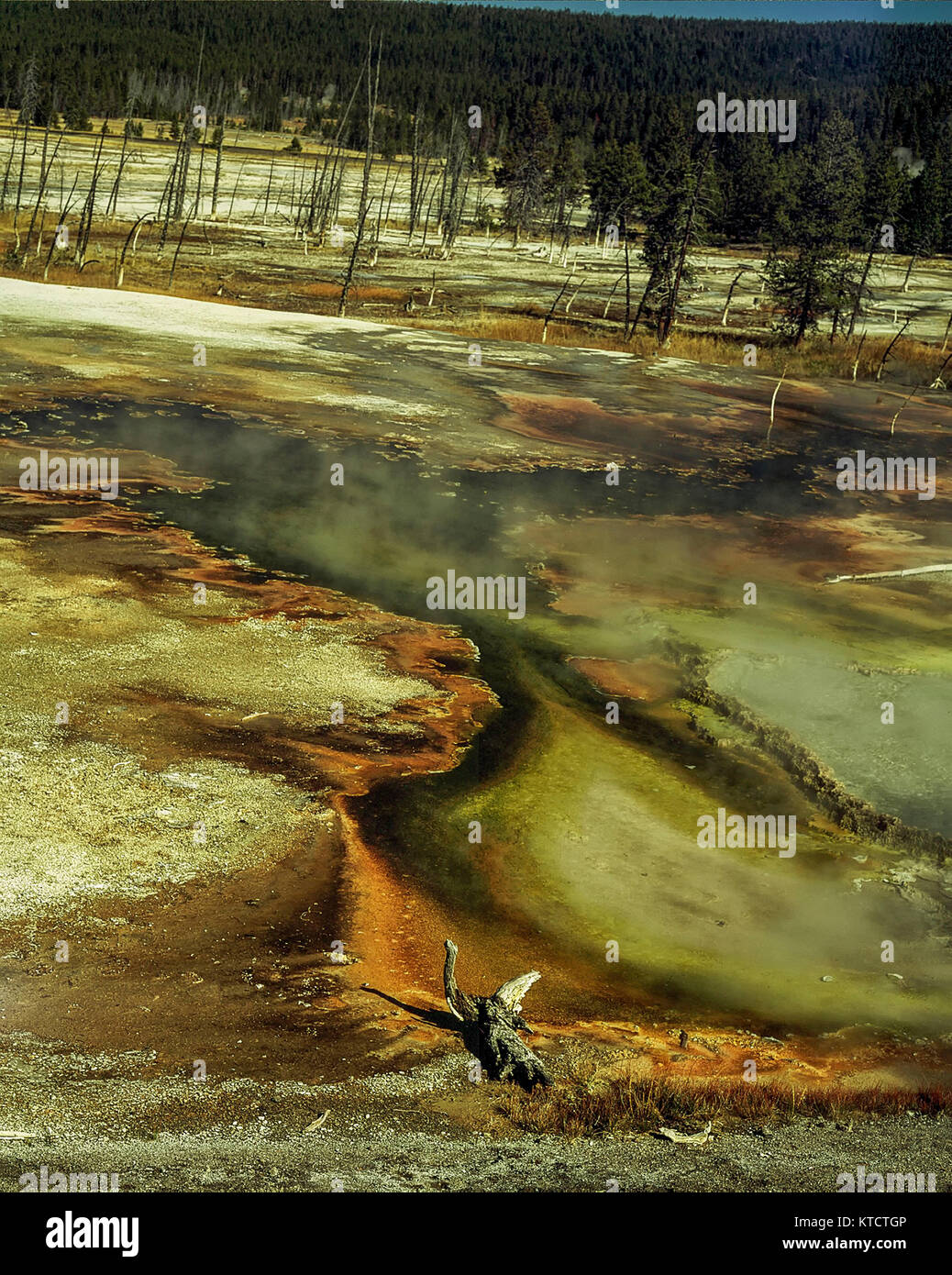 Geothermal features in Yellowstone National Park, Wyoming, United ...