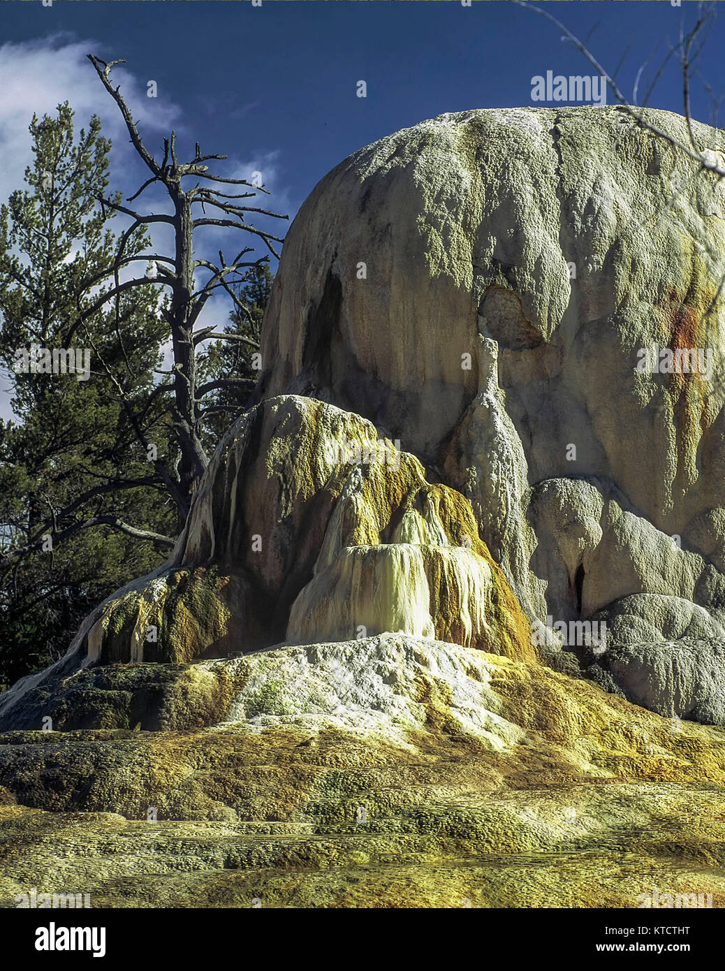 Mammoth hot springs area of the Yellowstone national park area ...