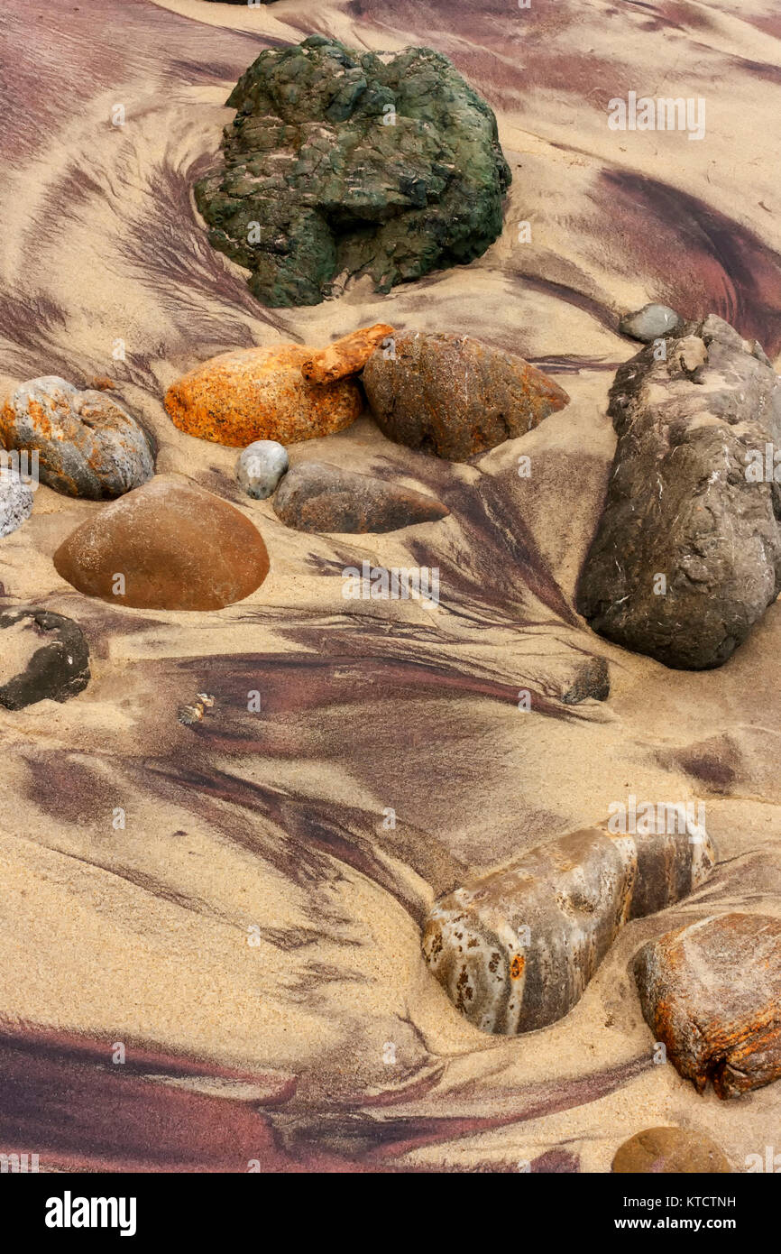 El sur ranch cattle grazing operation hi-res stock photography and ...