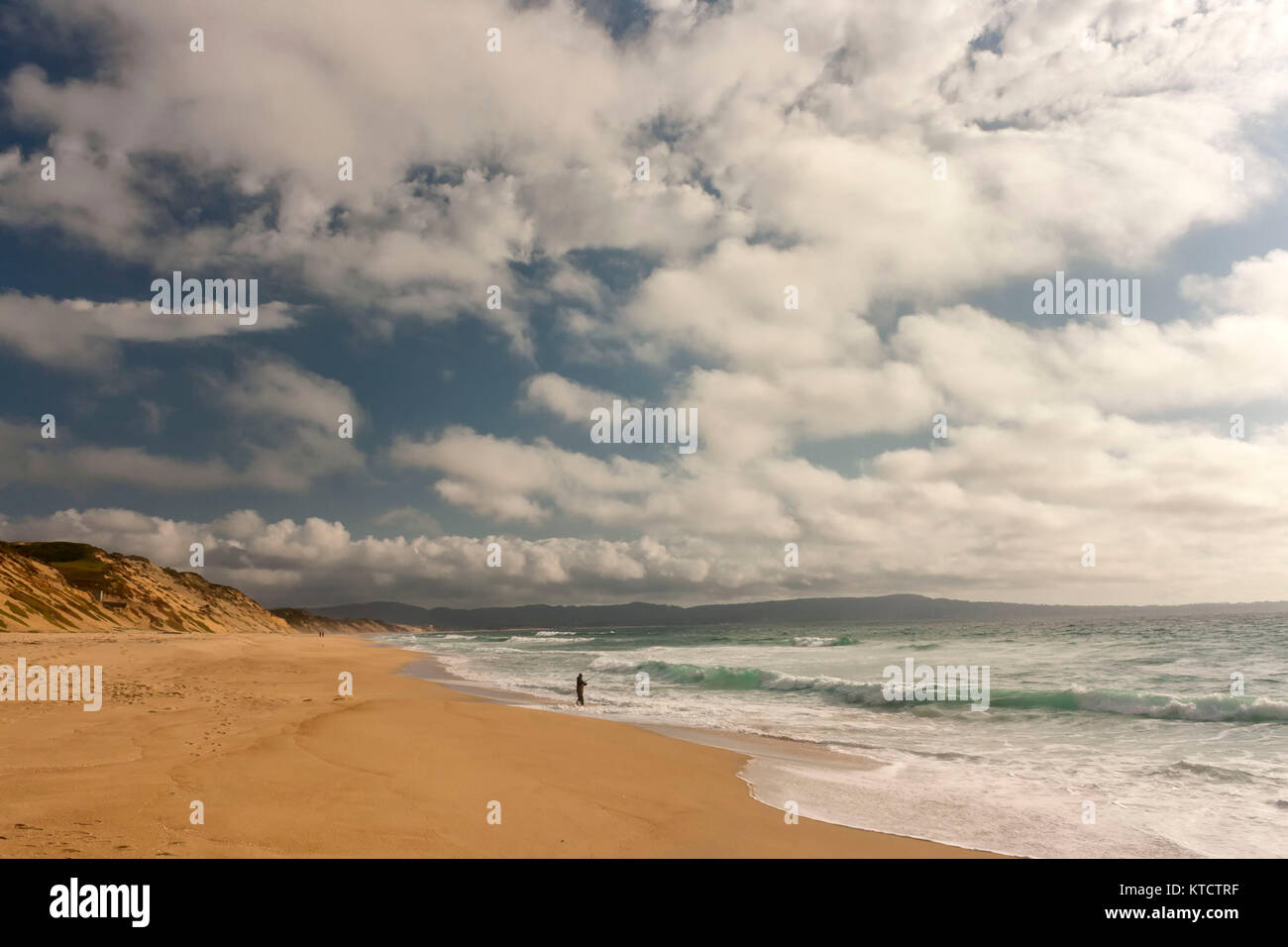 Fort Ord Dunes State Park, California, USA Stock Photo - Alamy