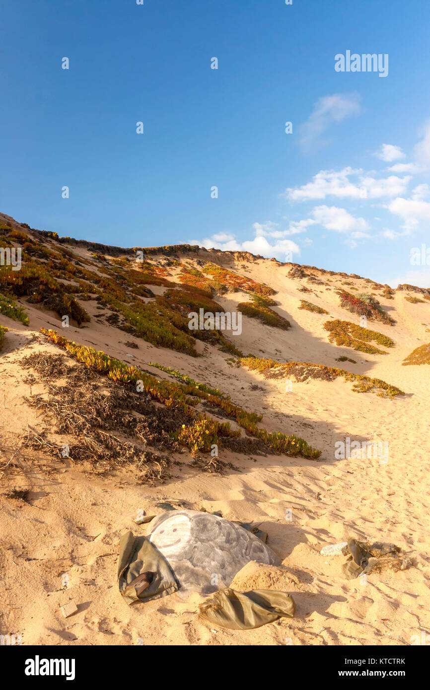 Fort Ord Dunes State Park, California, USA Stock Photo - Alamy