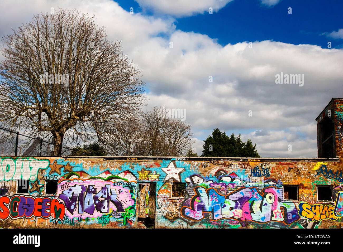 Leafless tree with graffiti building in foreground Stock Photo - Alamy